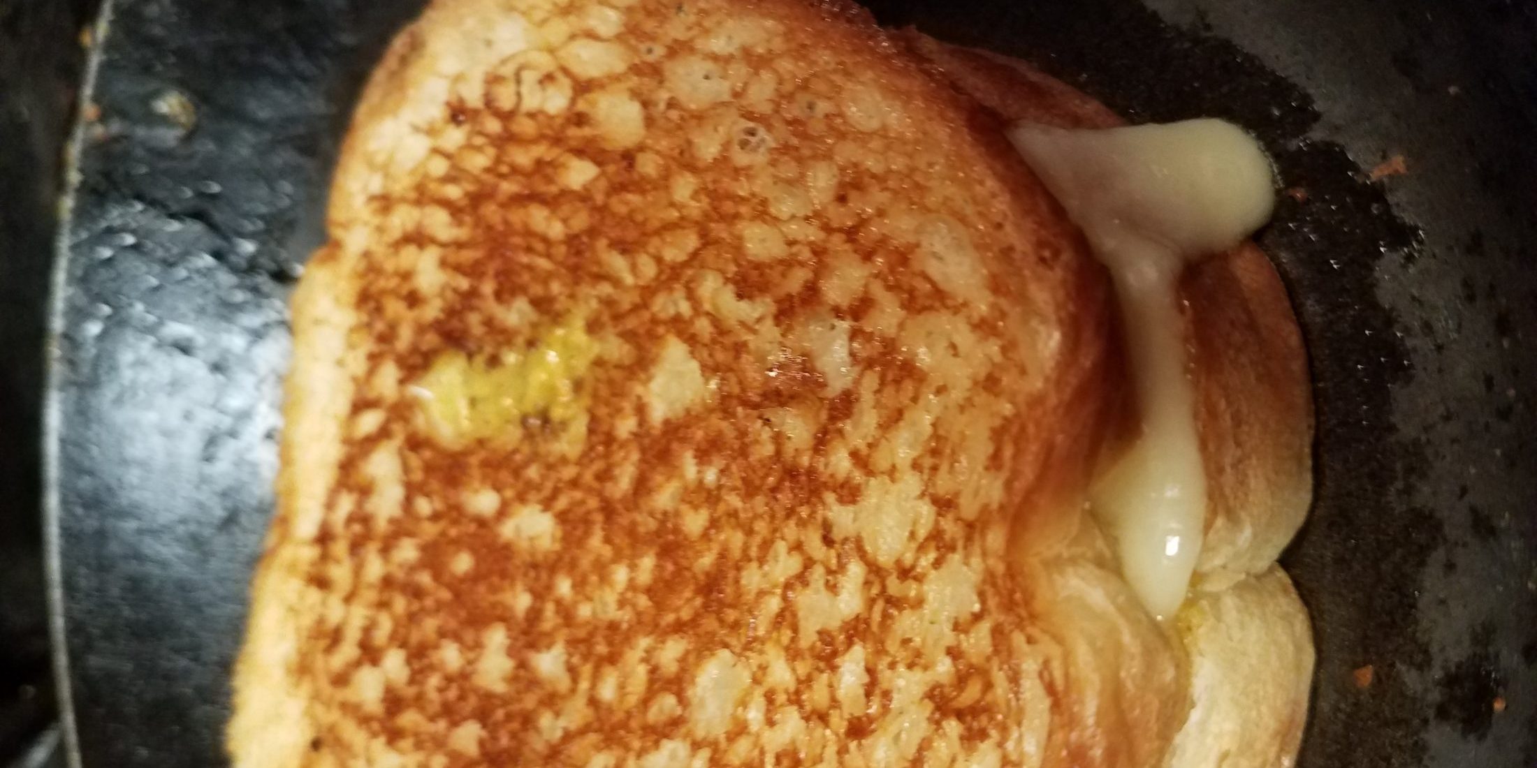 Grilled Cheddar Cheese Sandwich and Spicy Beer Mustard - Buzz Savories, LLC